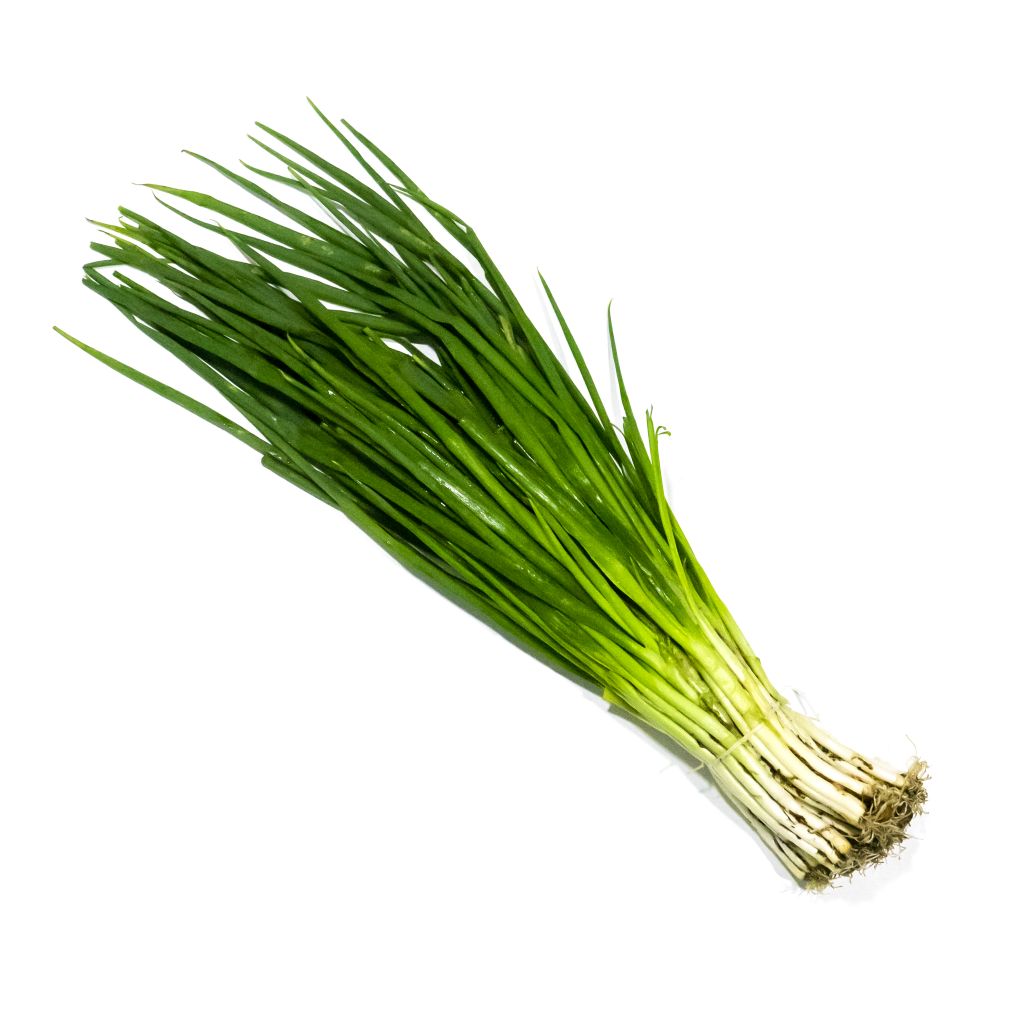 Cebollina (MAZO) – Agrochef